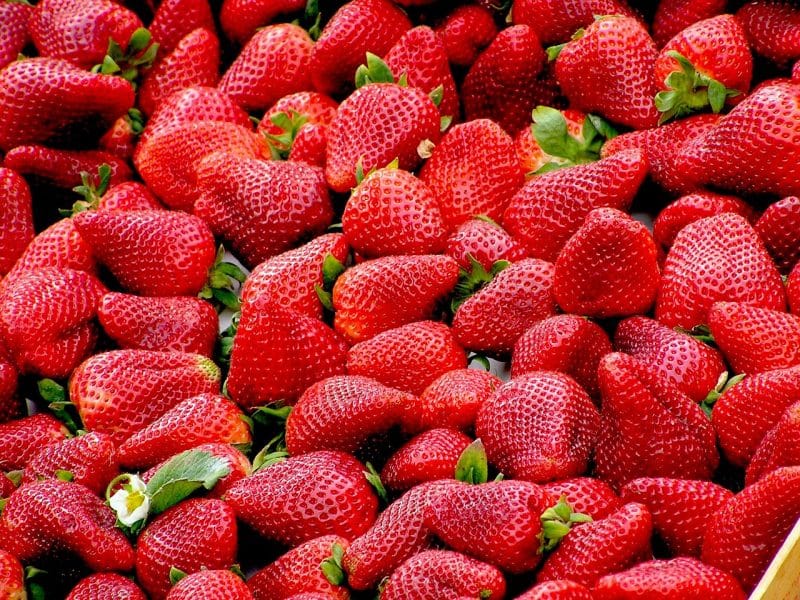 Astuces de chef pour mettre joliment les fraises sur une tarte